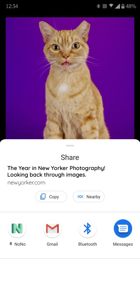 Portfolio - Joachim Leonfellner